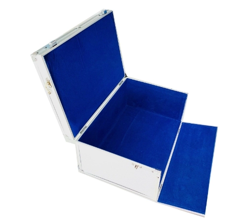 Coin Collecting - Safe Albums